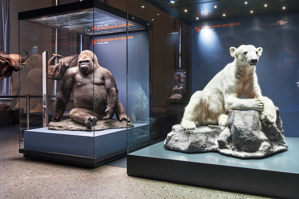 machines of urbanization – work by Ross Exo Adams